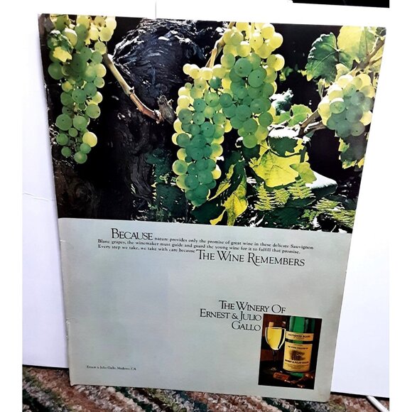 American Vintage | Wall Decor | 979 Ernest Julio Gallo Wine Grapes ...